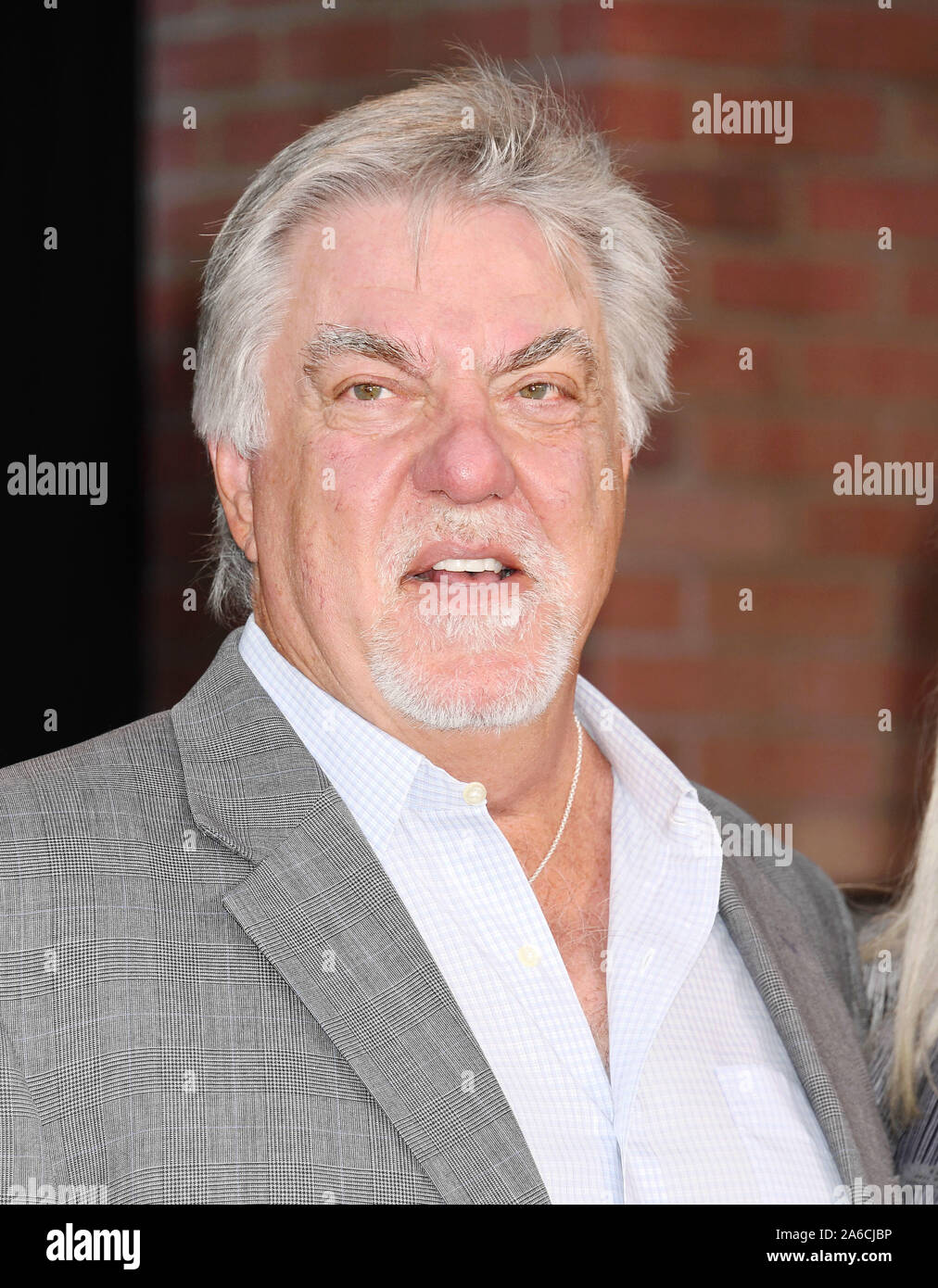 HOLLYWOOD, CA - OCTOBER 24: Bruce McGill attends the premiere of ...