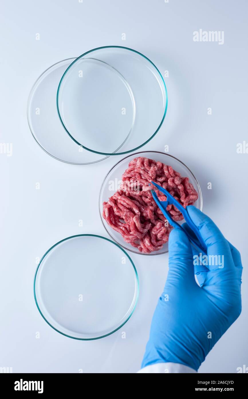 Laboratory meat hand hi-res stock photography and images - Alamy