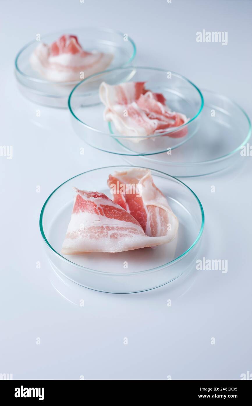 Conceptual image of cultured meat grown in the laboratory Stock Photo ...