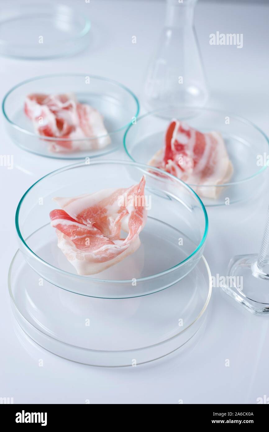Conceptual image of cultured meat grown in the laboratory Stock Photo ...