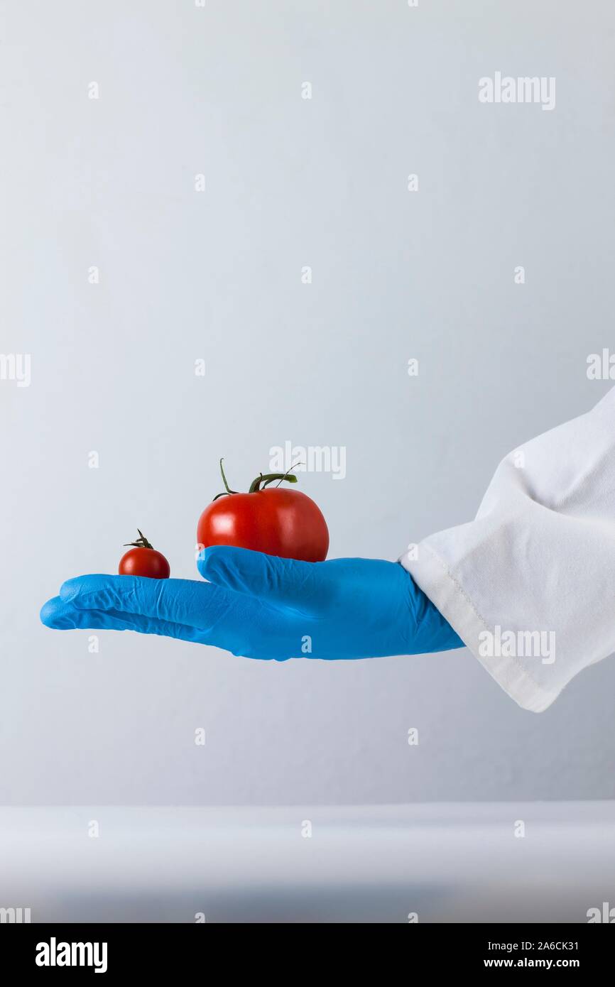 Conceptual image of genetic engineering and modification of food Stock ...