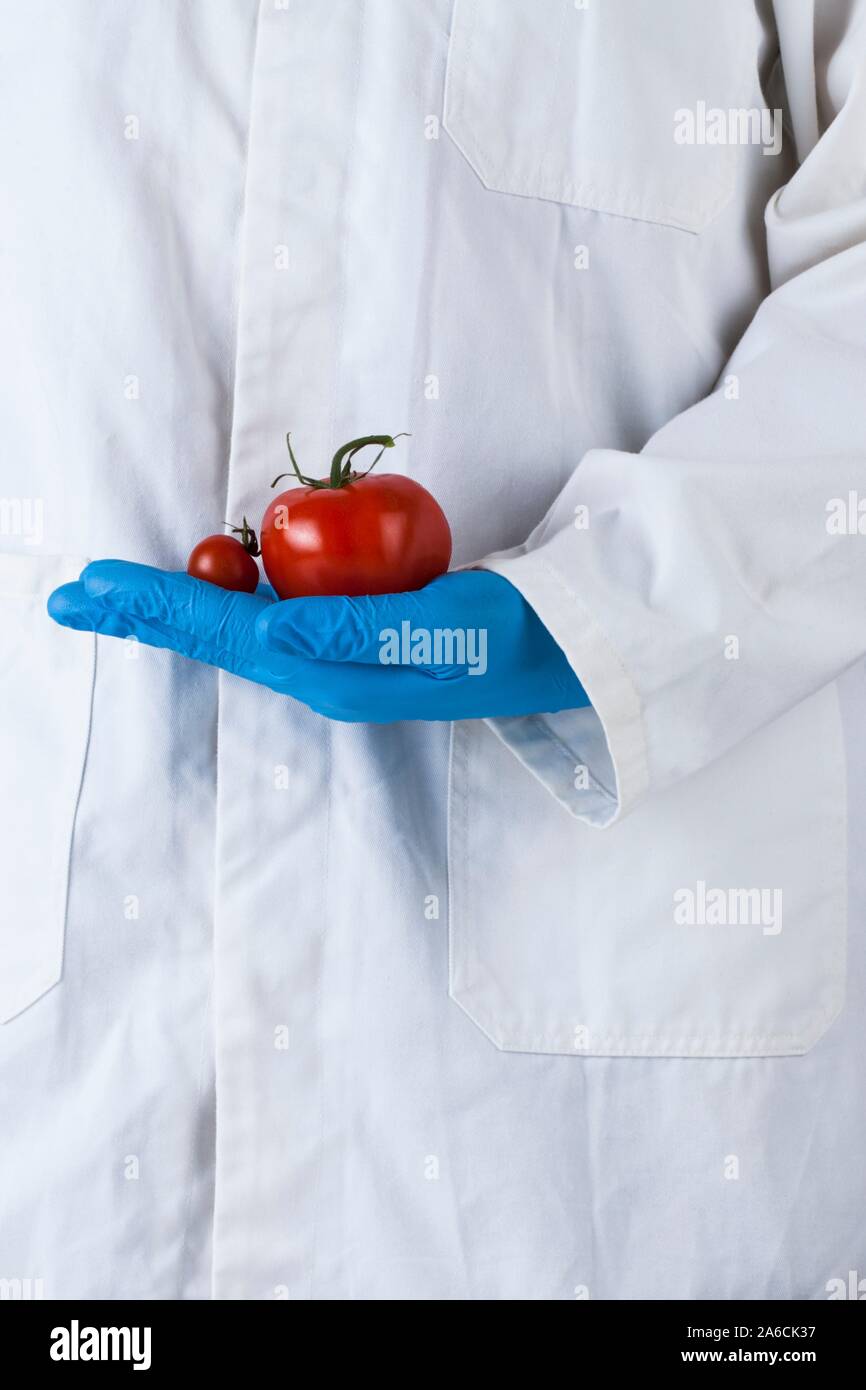 Genetic food modification hi-res stock photography and images - Alamy