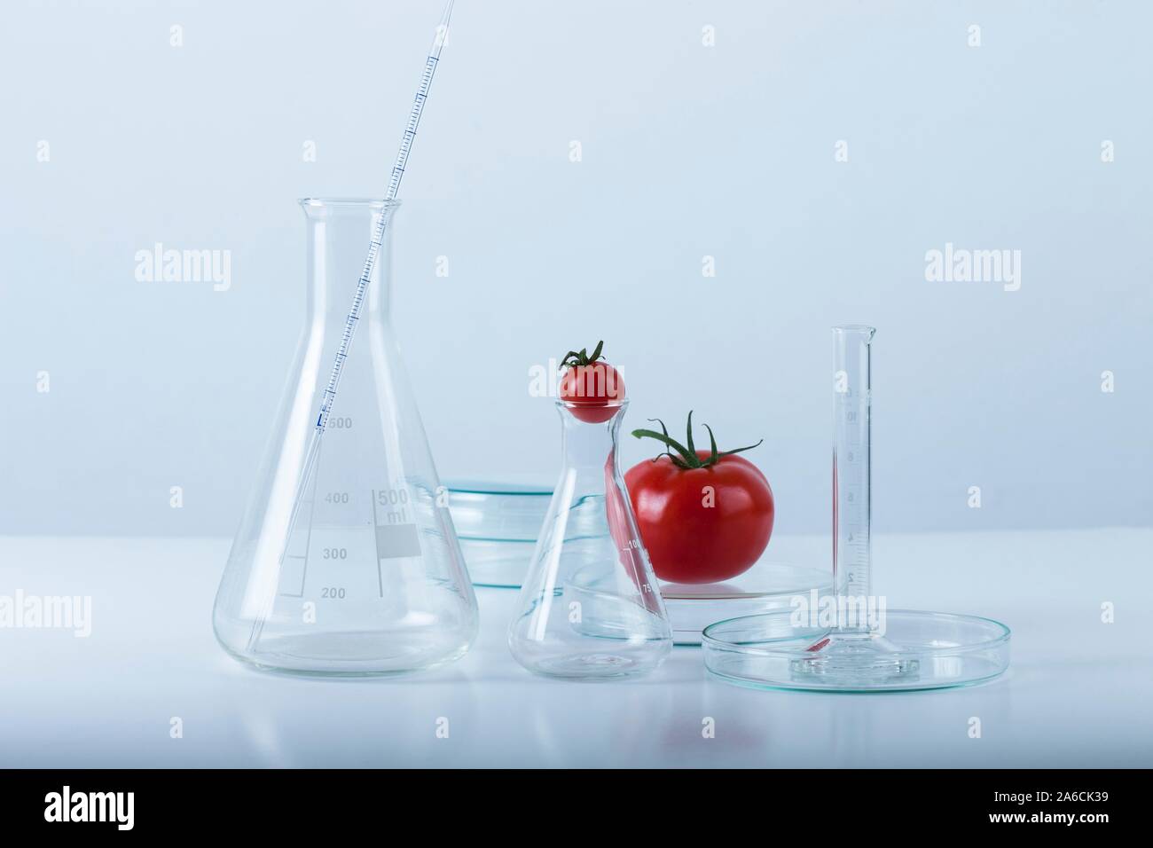 Conceptual image of genetic engineering and modification of food Stock ...