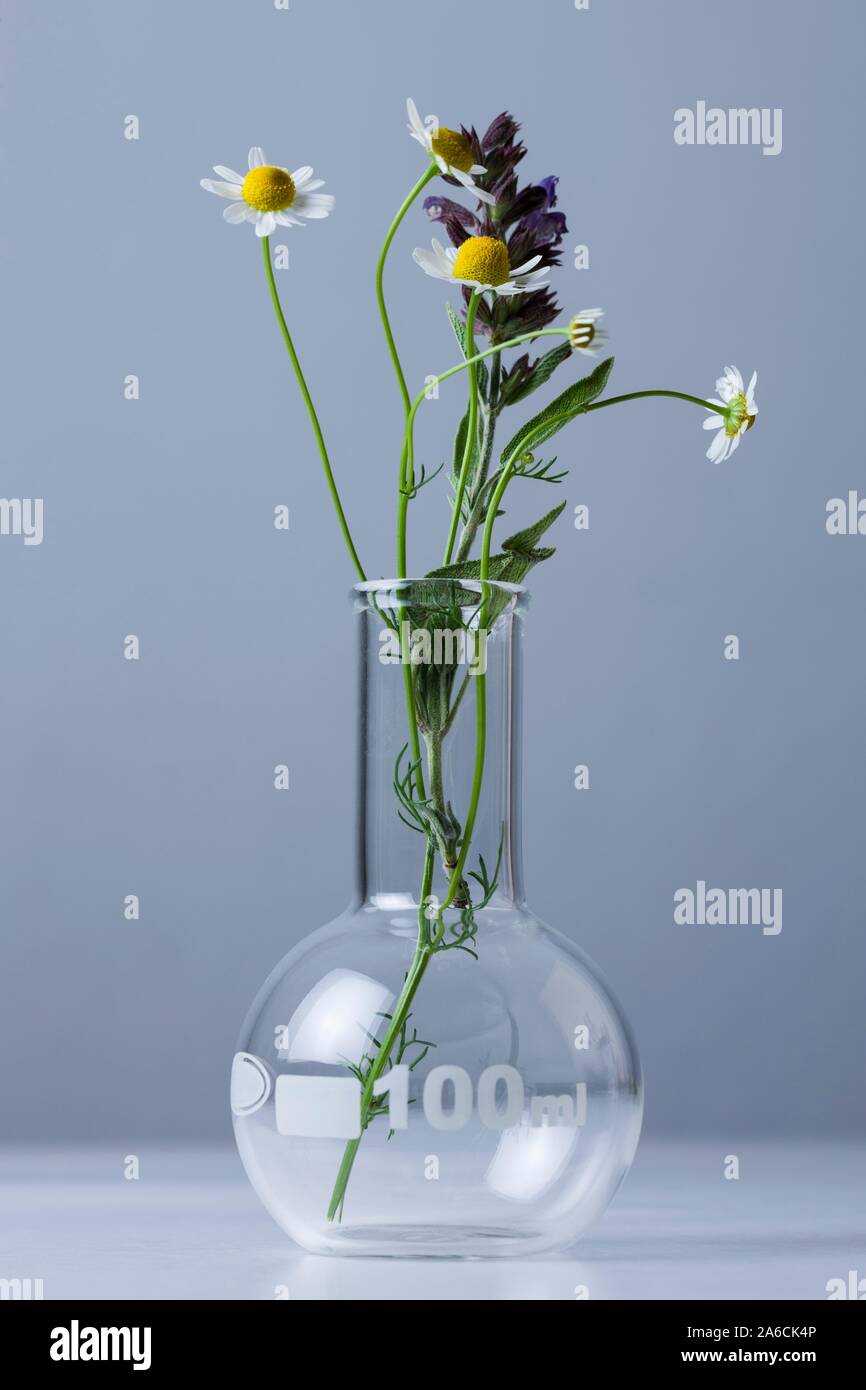 Botanical lab hi-res stock photography and images - Alamy