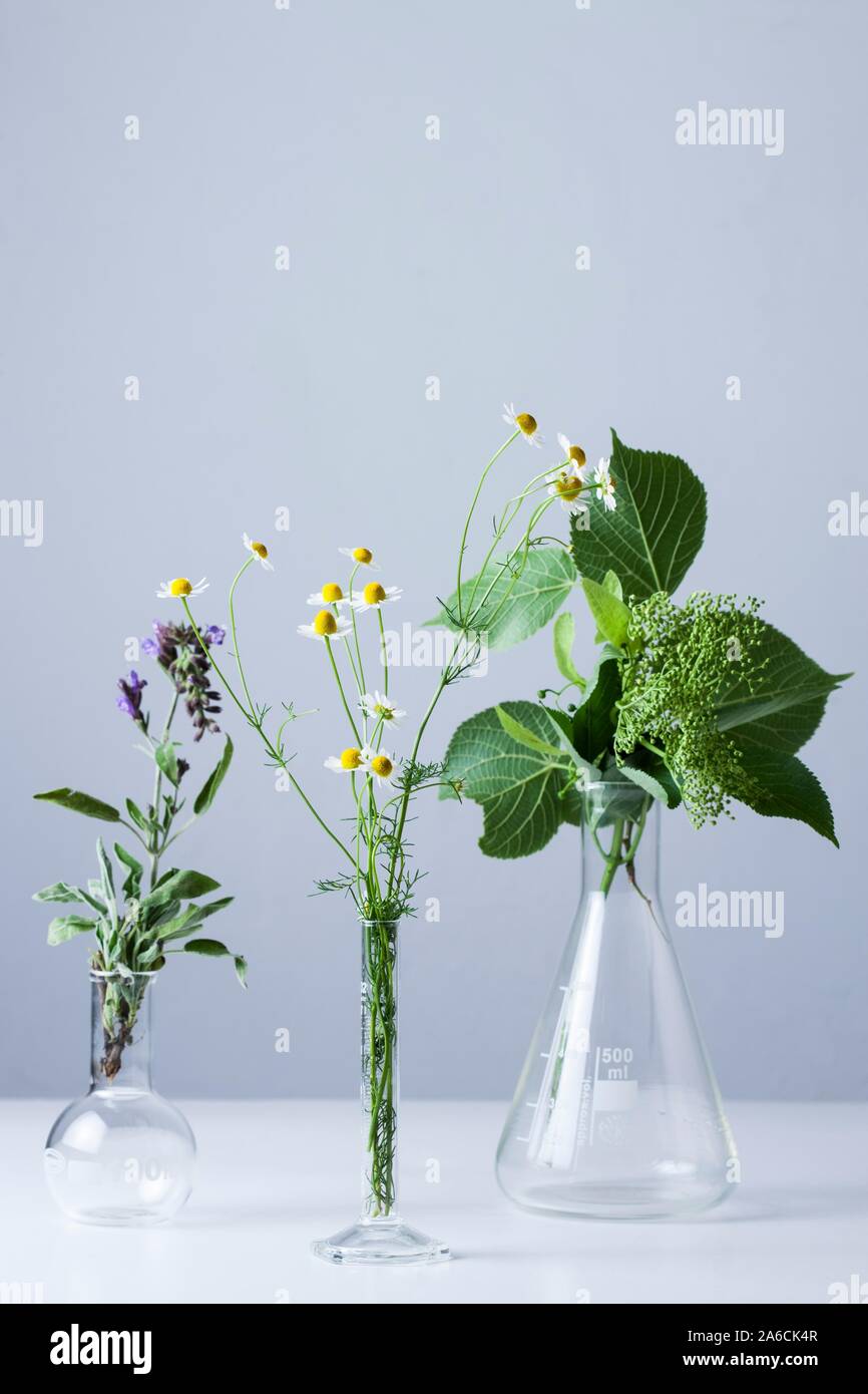 Botanical research hi-res stock photography and images - Alamy