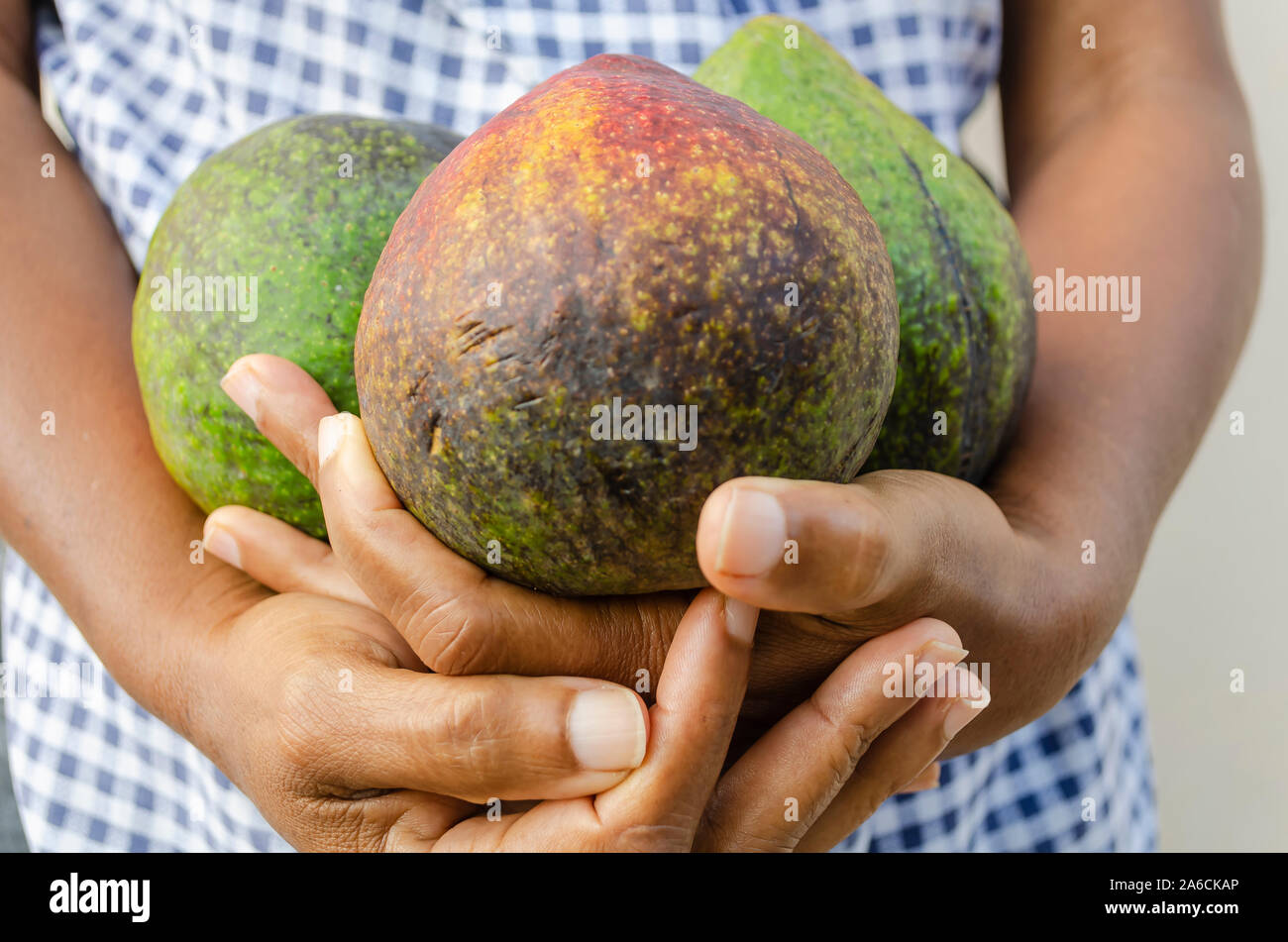Avocado Pear Held Close Stock Photo - Alamy