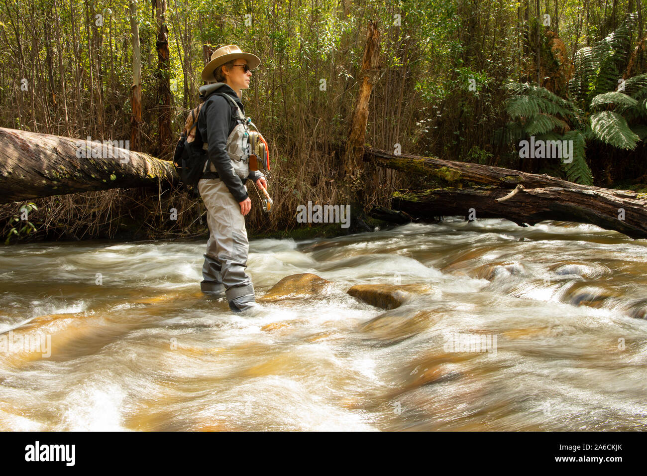 Fishing guide hi-res stock photography and images - Alamy
