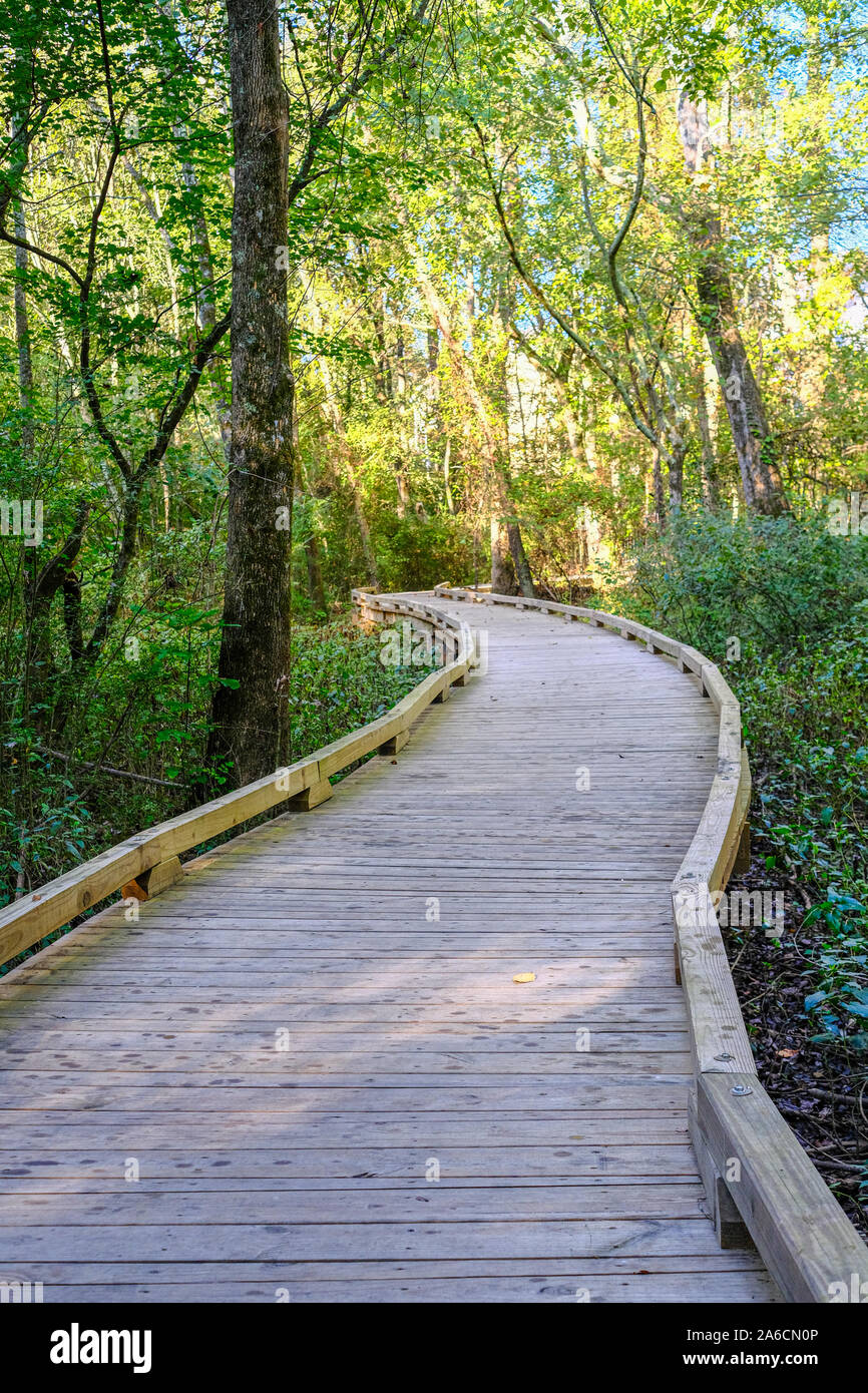 Wood Fitness Path Curving Through Green Forest Stock Photo - Alamy