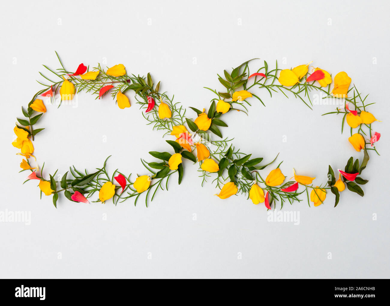 Infinity Symbol With Flowers Stars Infinity Symbol Foot