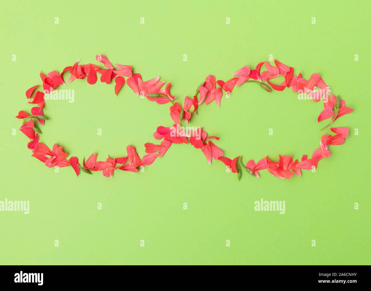infinity sign made of flowers Stock Photo - Alamy