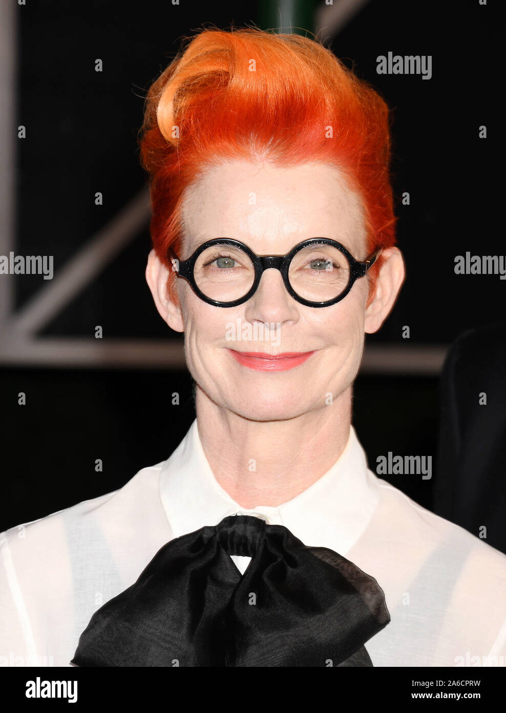 HOLLYWOOD, CA - OCTOBER 24: Sandy Powell attends the premiere of ...