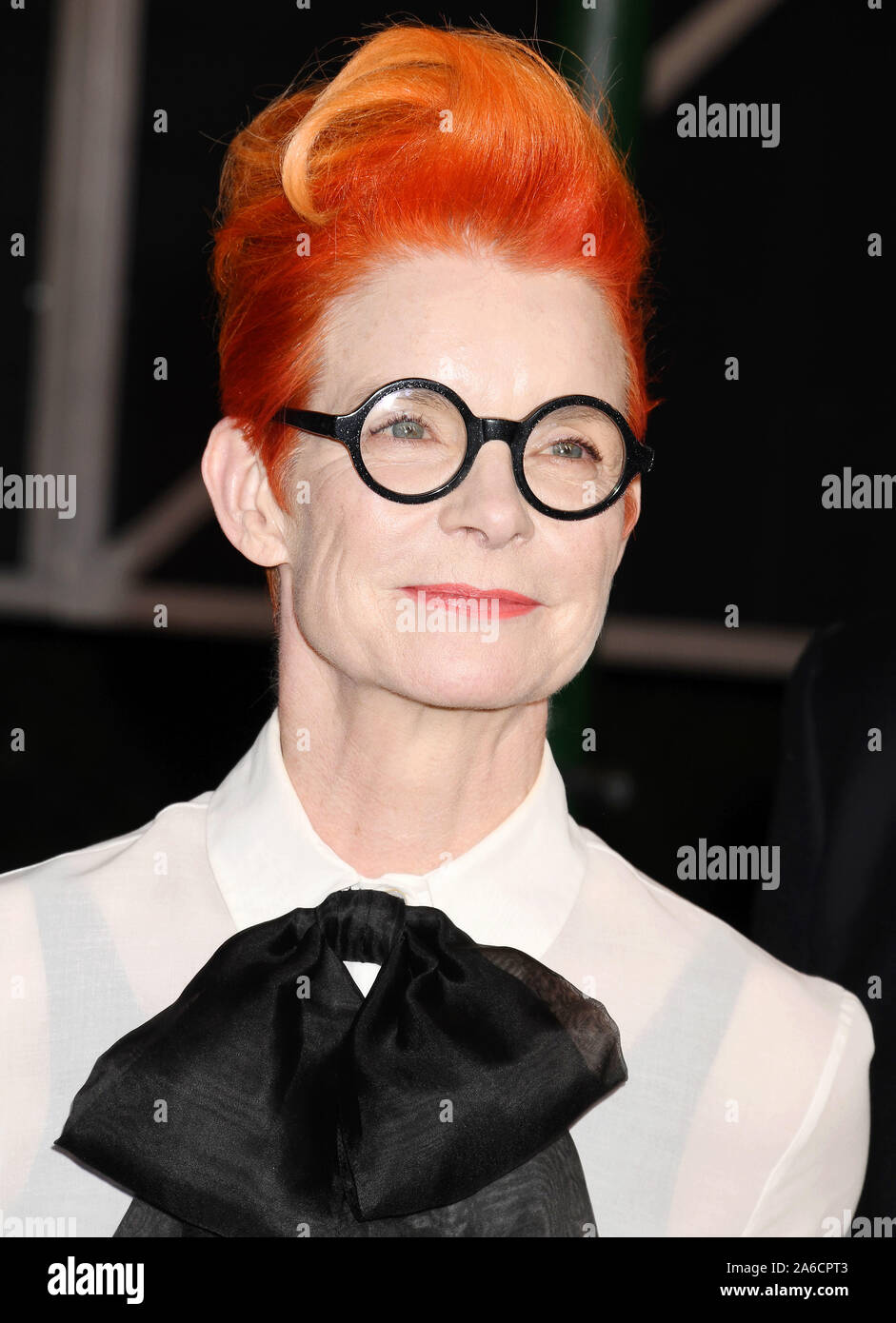 HOLLYWOOD, CA - OCTOBER 24: Sandy Powell attends the premiere of ...