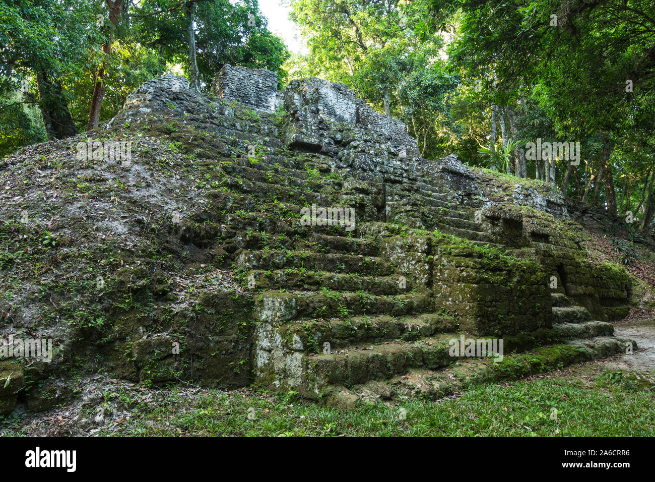 Mayan civilization ruins at Tikal National Park, Guatemala, a UNESCO ...