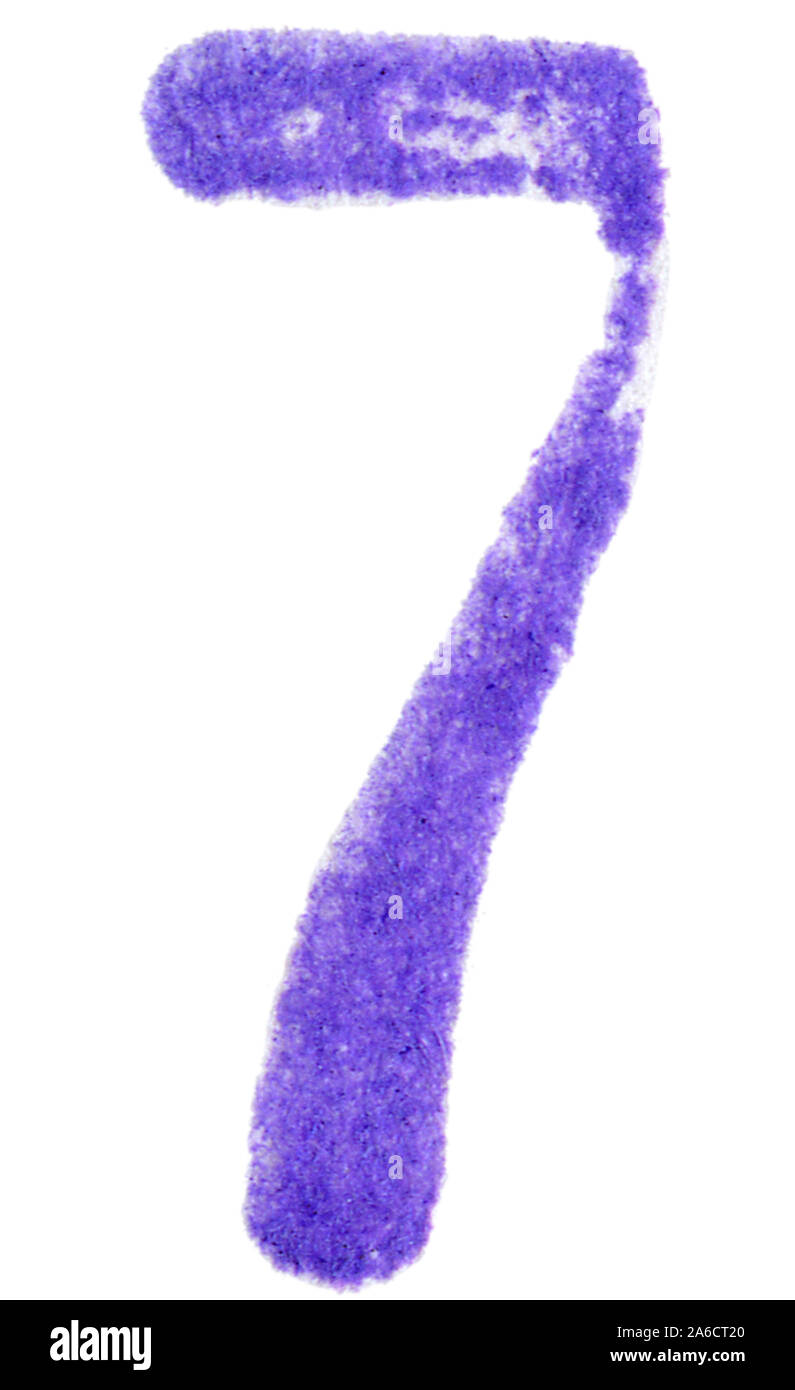 Digit number 7 printed blue ink stamp isolated on white background ...