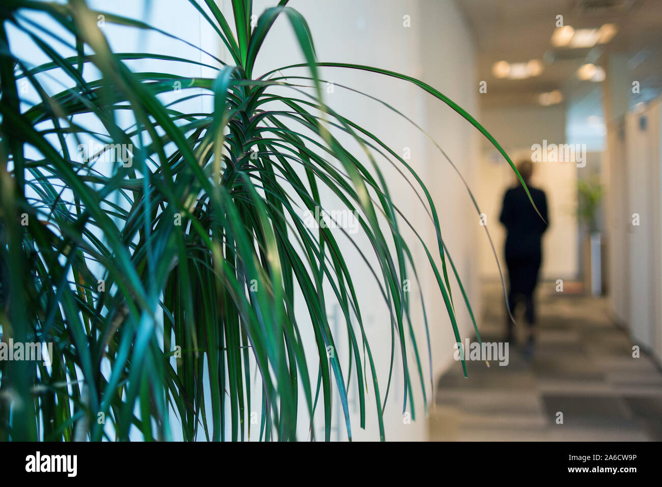 A member of staff walks down an open plan office corridor in a modern ...