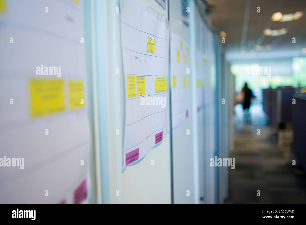 A member of staff walks down an open plan office corridor in a modern ...