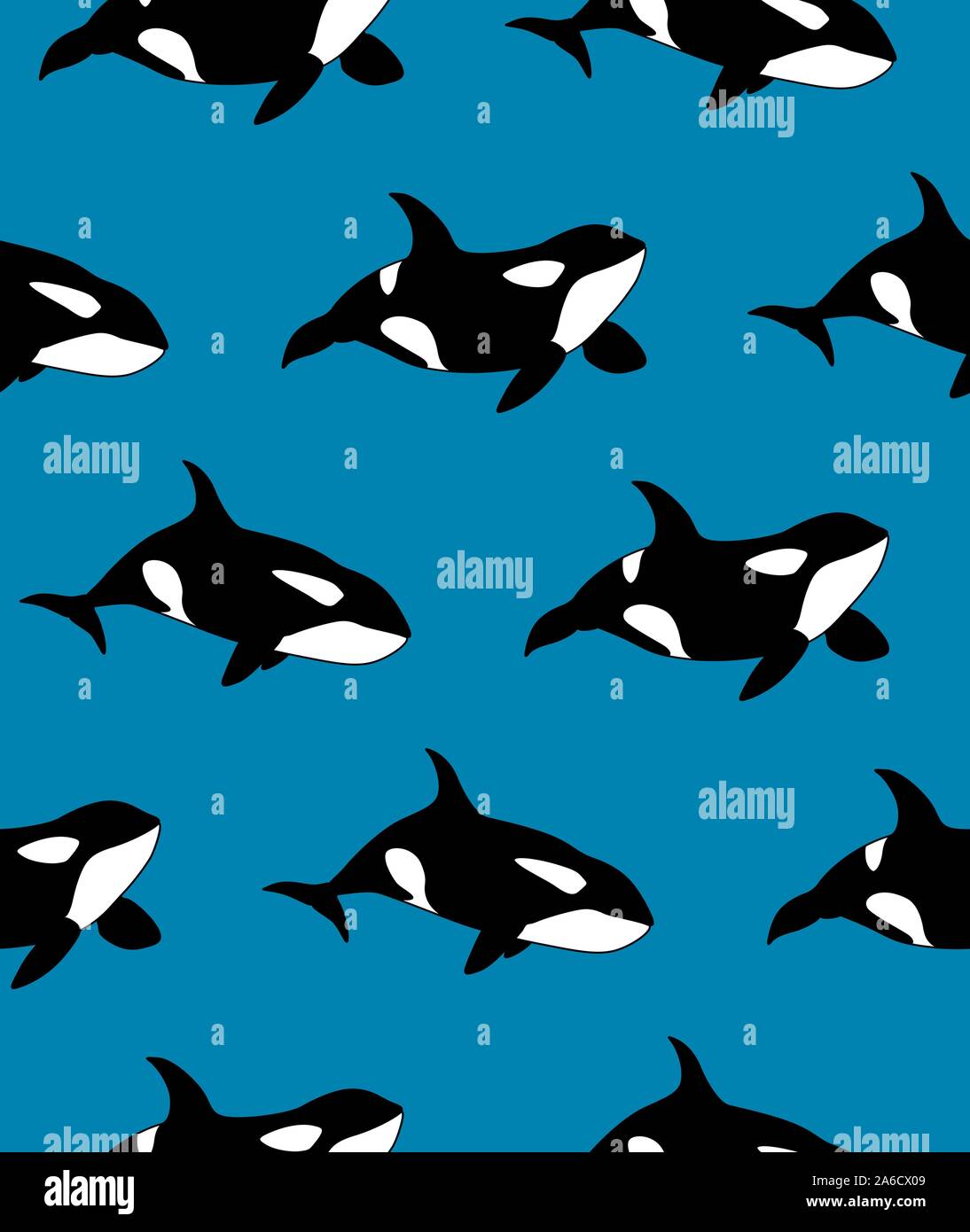 Vector seamless pattern of hand drawn killer whale swimming on blue ...
