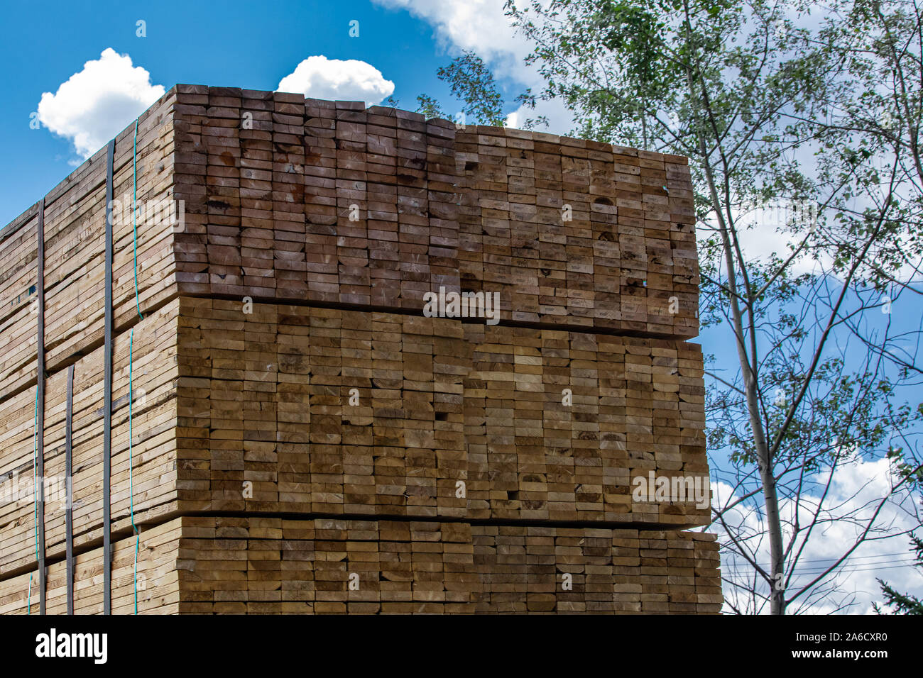 Transporting wooden planks hi-res stock photography and images - Alamy
