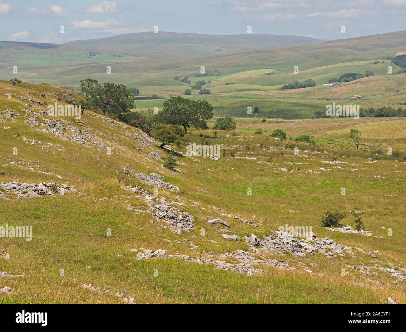 view of unimproved limestone grassland and characteristic hawthorn ...