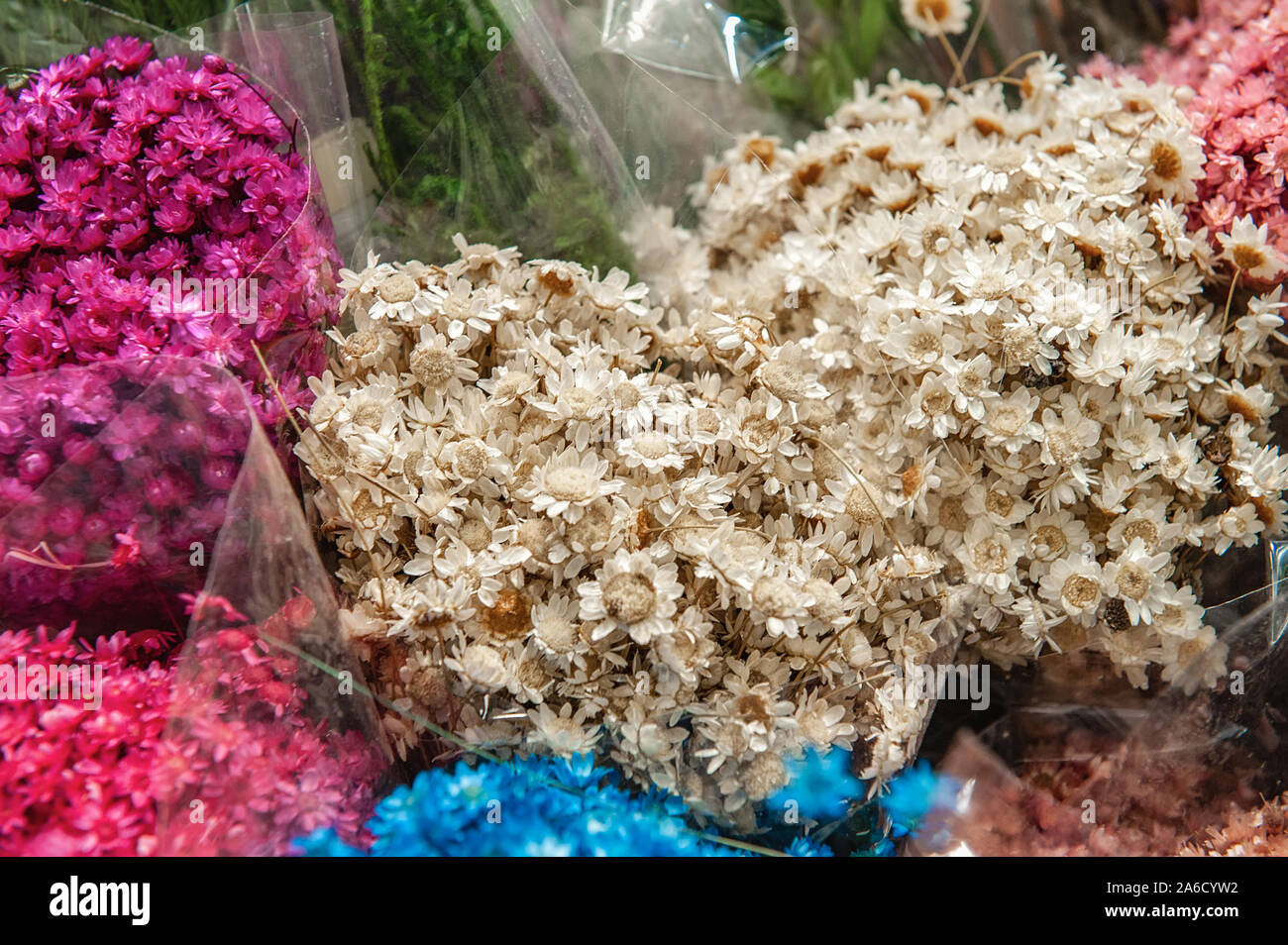 Colorful close-up of dried flowers, fragrant herb leaves and seed pods ...