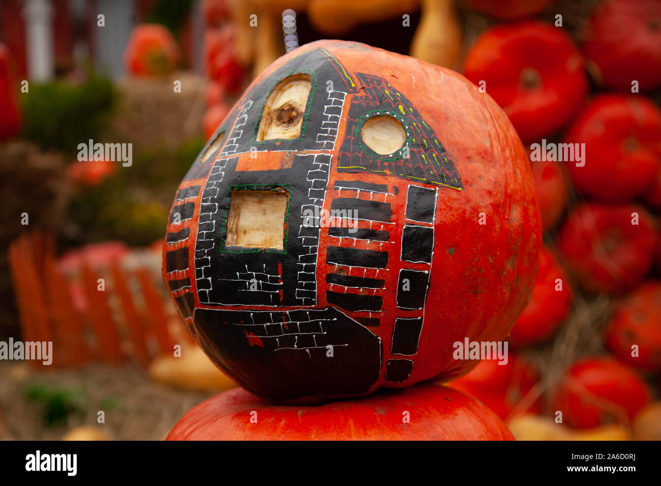pumpkins in honor of the celebration of autumn and Halloween. festival ...