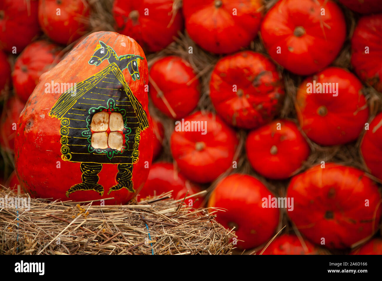 pumpkins in honor of the celebration of autumn and Halloween. festival ...