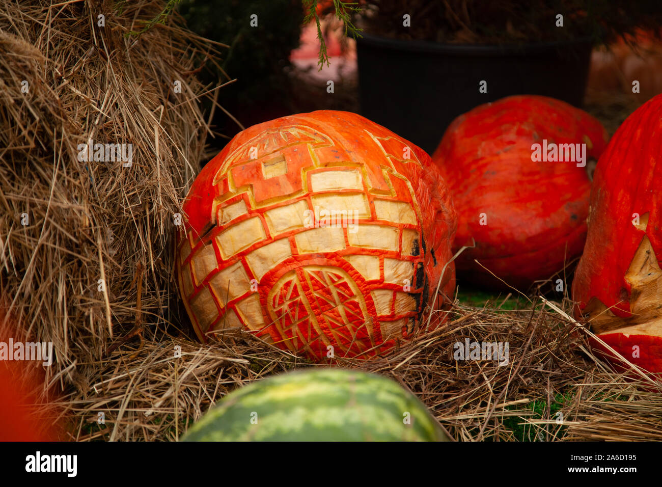 pumpkins in honor of the celebration of autumn and Halloween. festival ...