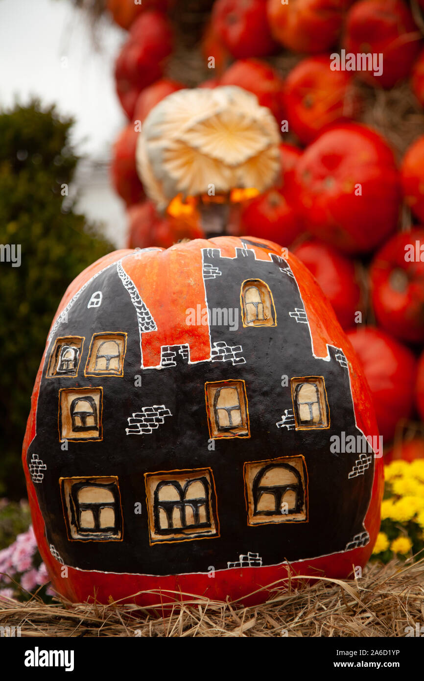 pumpkins in honor of the celebration of autumn and Halloween. festival ...