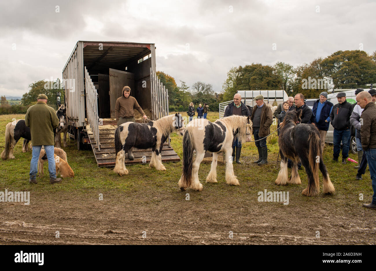 Stow Gypsy Horse Fair, Stow on the Wold, Cotswolds, Glouctershire ...