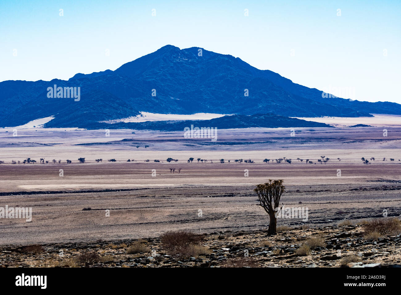 The desert in Namibia, Africa Stock Photo - Alamy