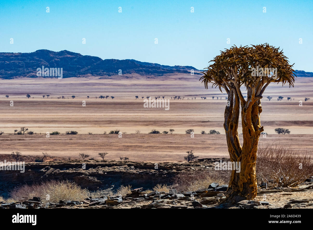 The desert in Namibia, Africa Stock Photo - Alamy