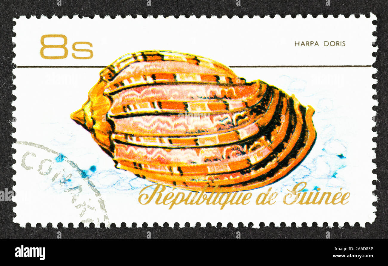 Close up of Guinea postage stamp, featuring Harpa doris, a rose harp ...