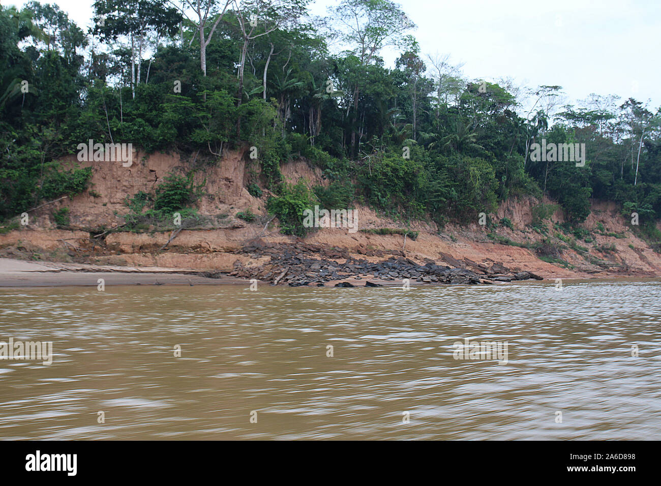 The eroded shoreline, Amazon rainforest and the Tambopata River in ...
