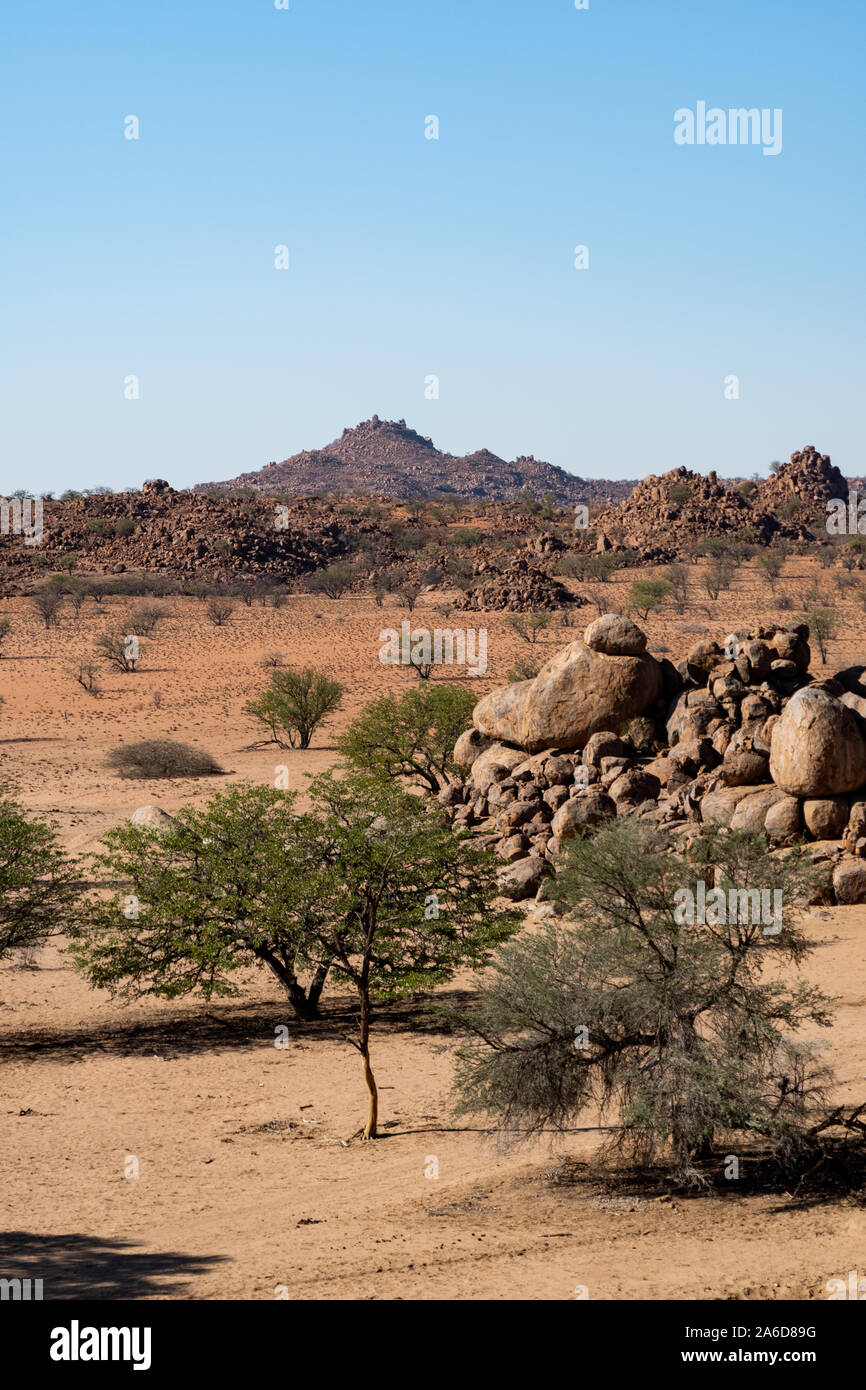 Namibia in Africa, landscape and wildlife Stock Photo - Alamy