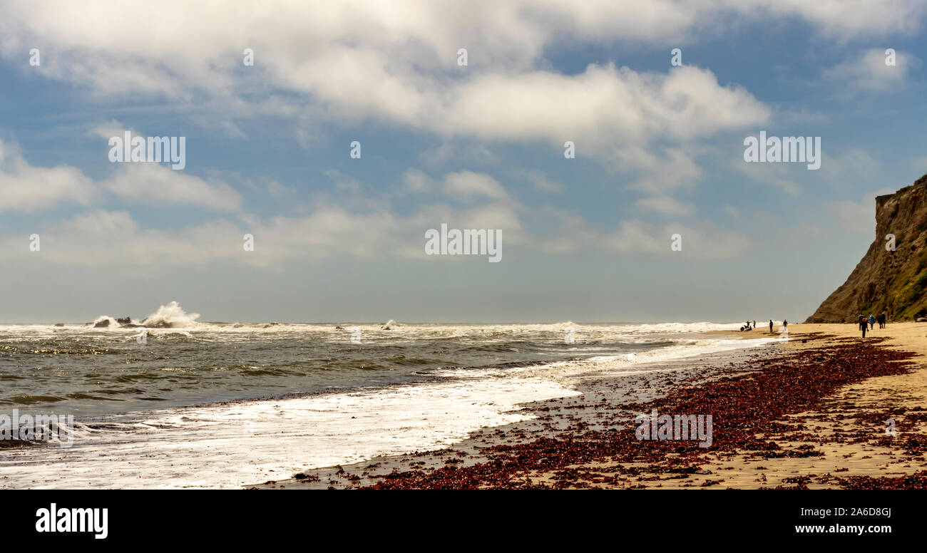 Mavericks beach california hi-res stock photography and images - Alamy