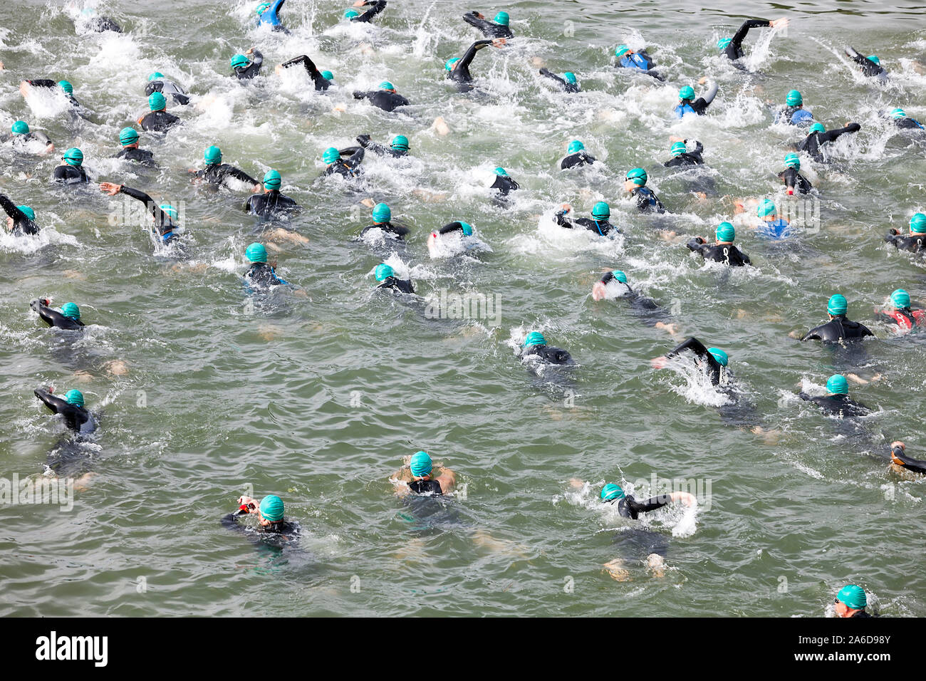 Large group of swimmers, competition Stock Photo - Alamy