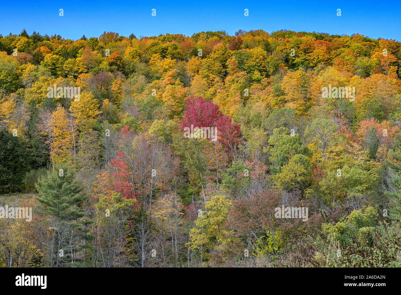 Turning colors hi-res stock photography and images - Alamy