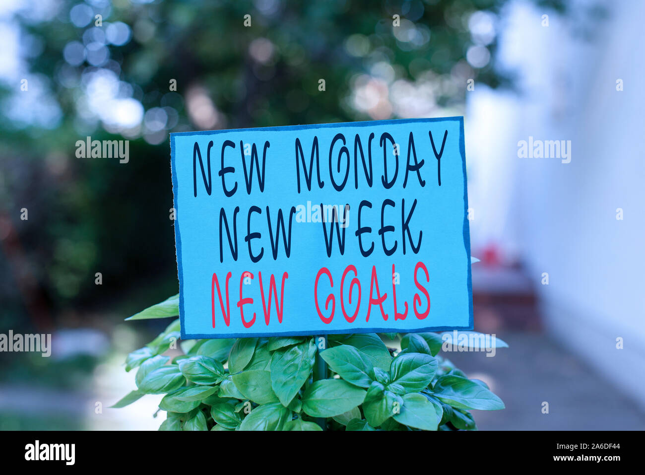 Text sign showing New Monday New Week New Goals. Business photo text ...
