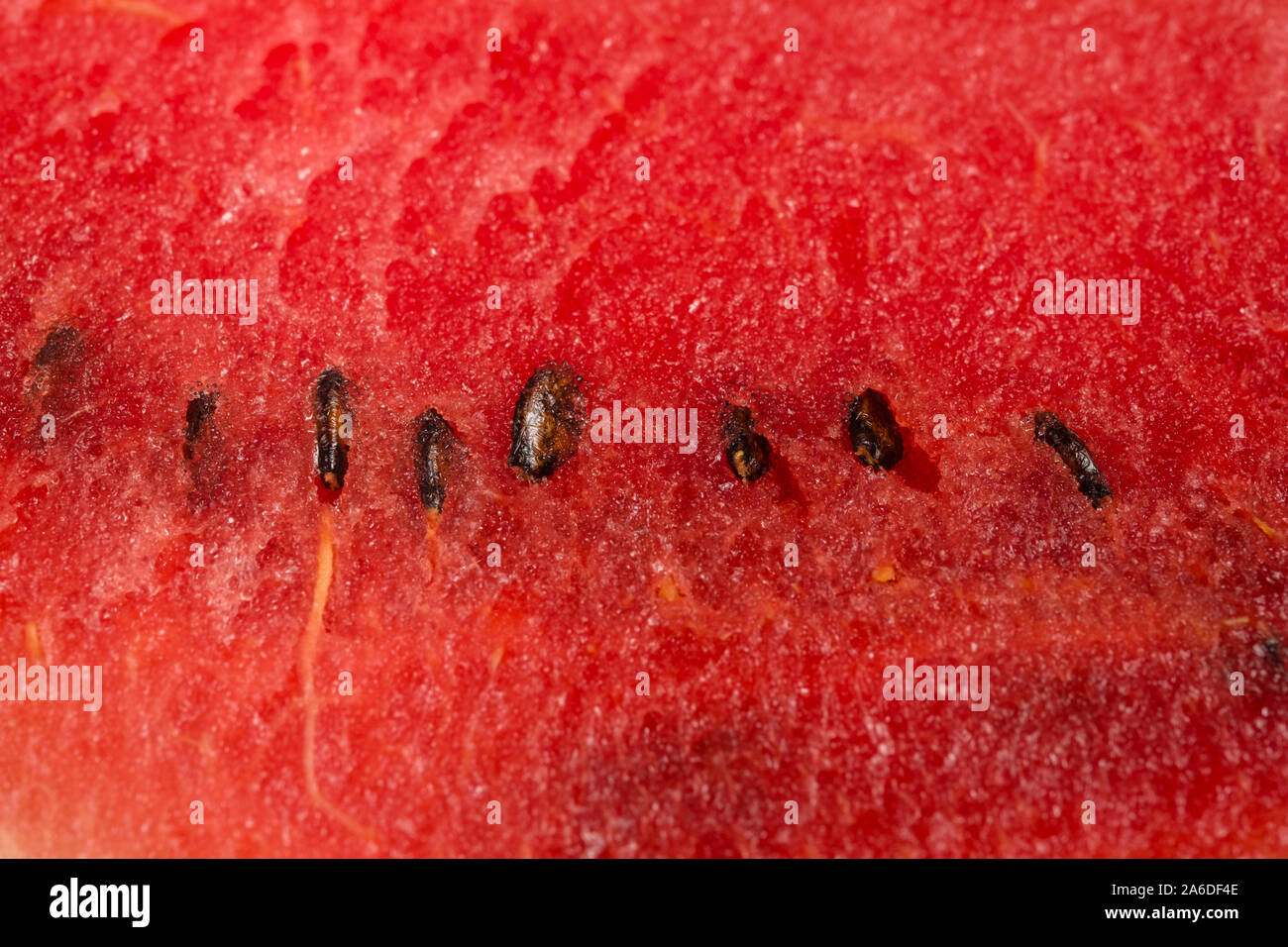 Fresh red and ripe watermelon with seeds Stock Photo - Alamy