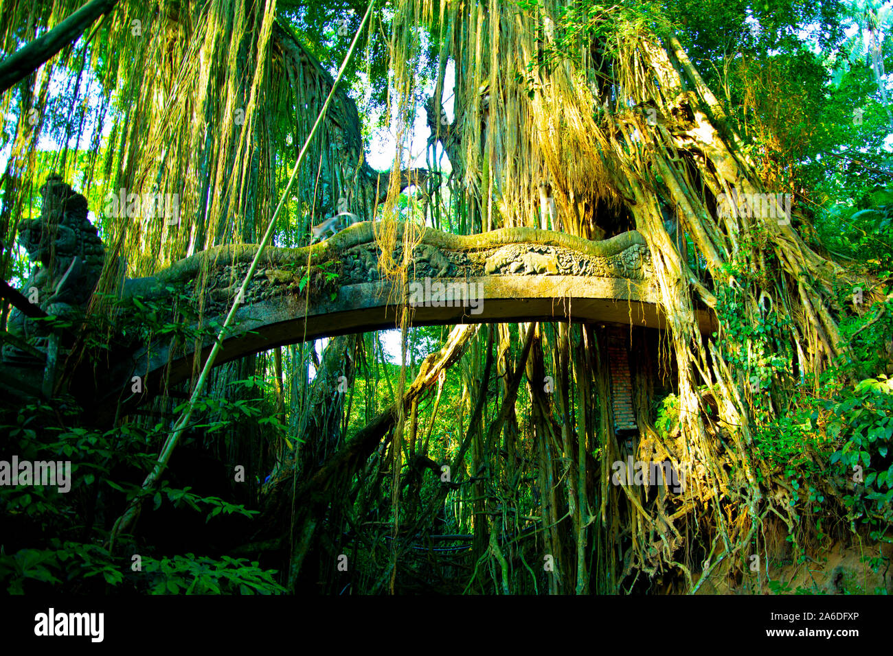 Monkey bridge hi-res stock photography and images - Alamy
