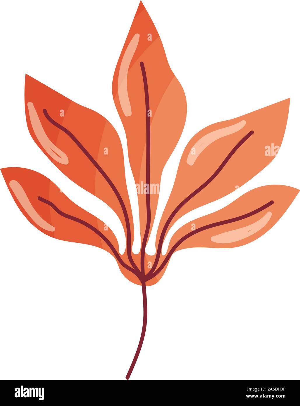 brown leaf foliage autumn on white background vector illustration Stock ...