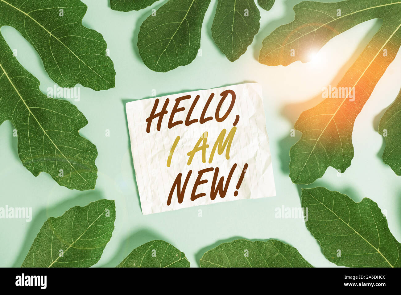 Text sign showing Hello I Am New. Business photo text introducing ...