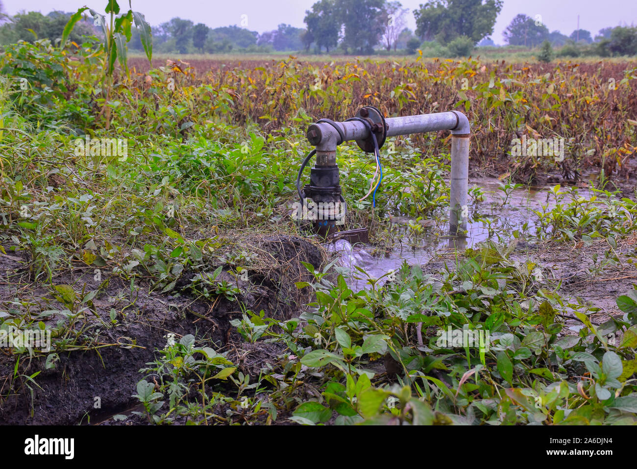 Tube well hi-res stock photography and images - Alamy