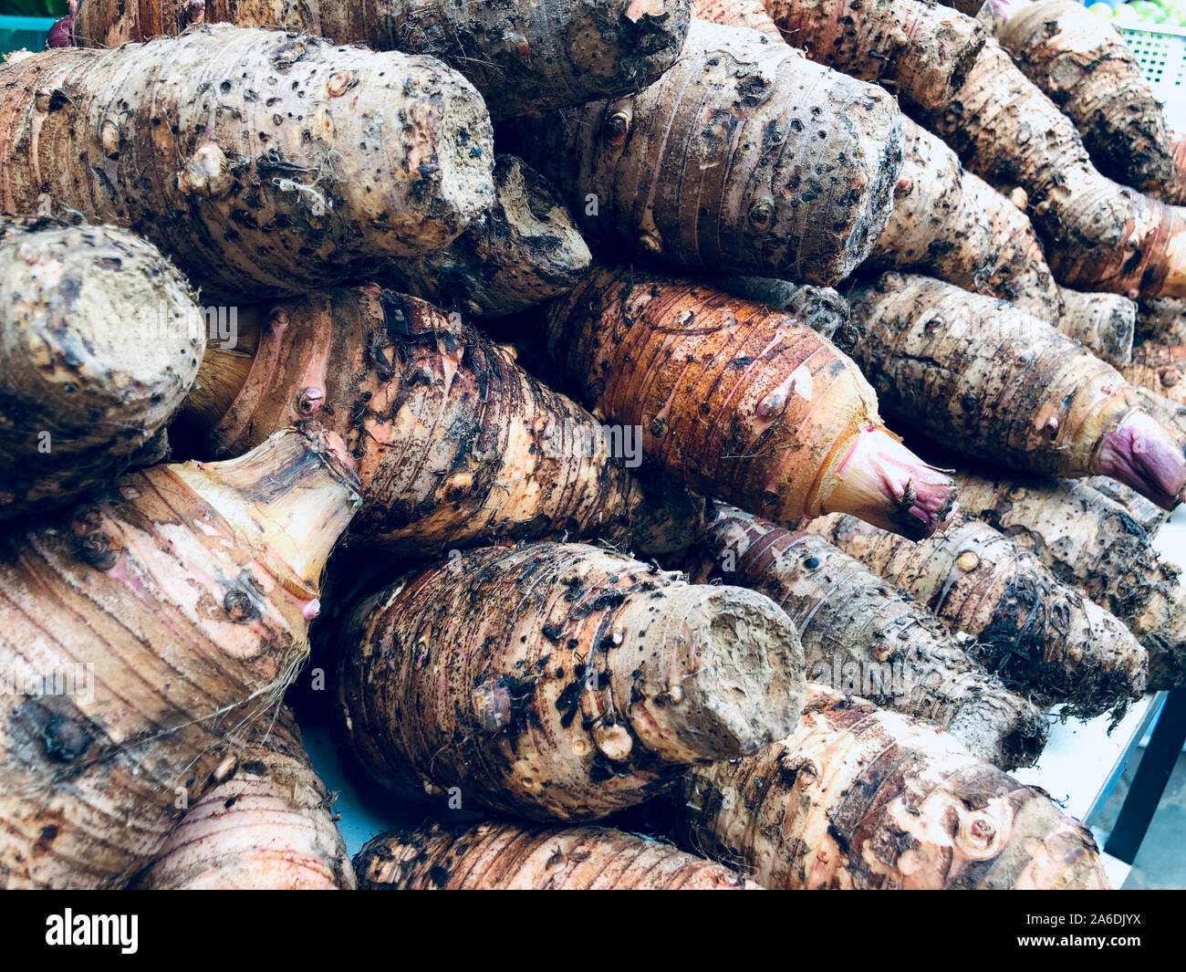 Raw organic Yam Stock Photo - Alamy