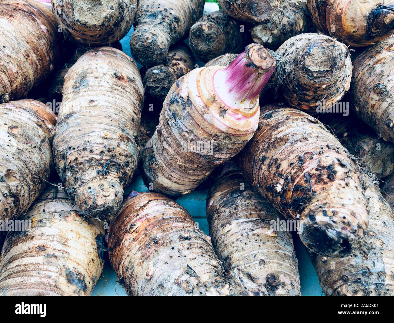 Sweet potatoes yams uncooked raw hi-res stock photography and images ...