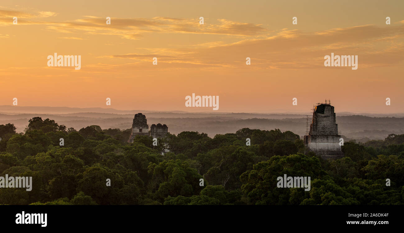 Predawn view of Temples I, II and III from Temple IV in the Mayan ...