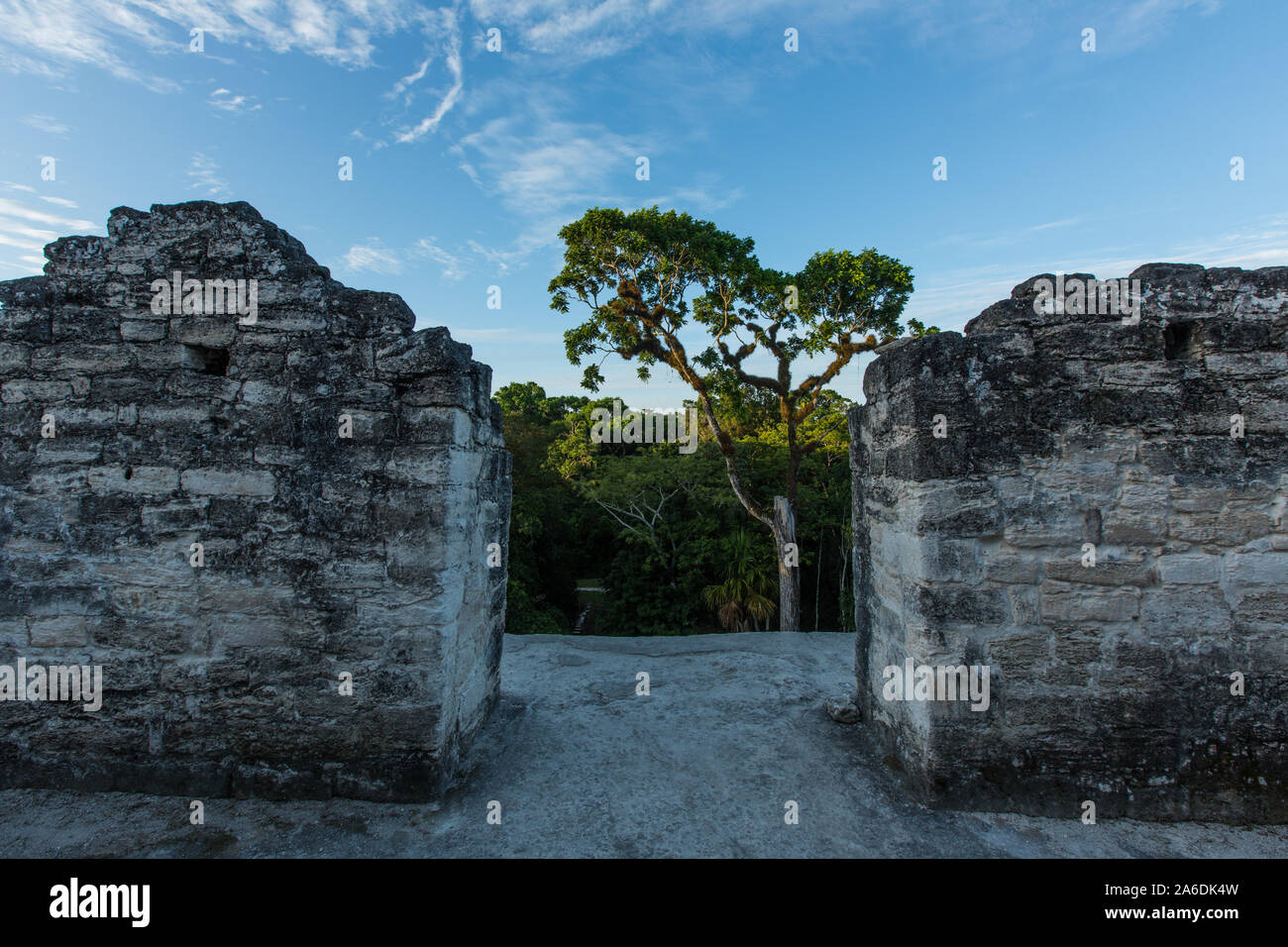 Mayan civilization ruins at Tikal National Park, Guatemala, a UNESCO ...