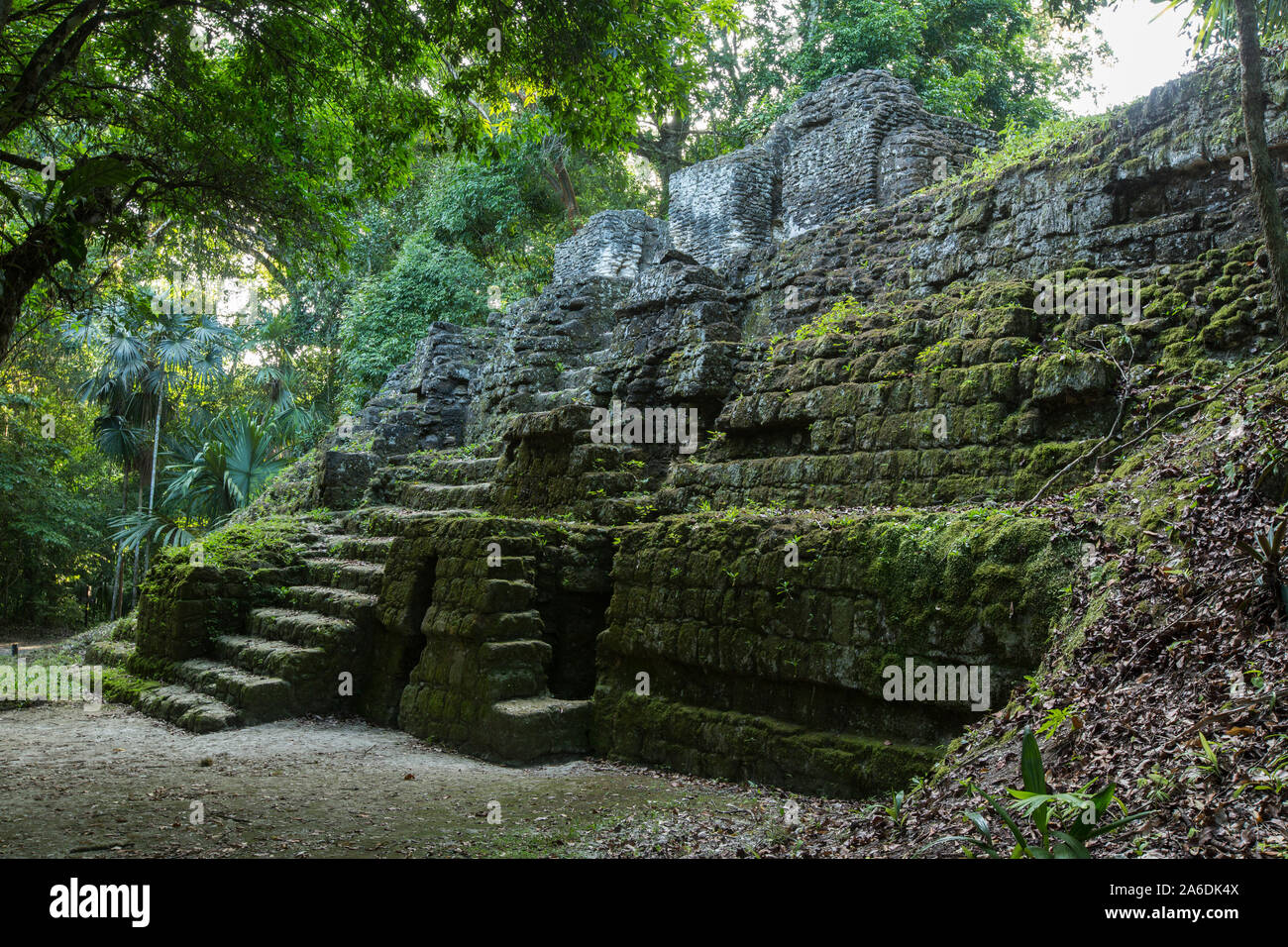 Mayan civilization ruins at Tikal National Park, Guatemala, a UNESCO ...