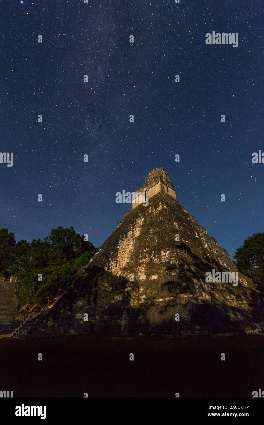 Full moon night jungle hi-res stock photography and images - Alamy