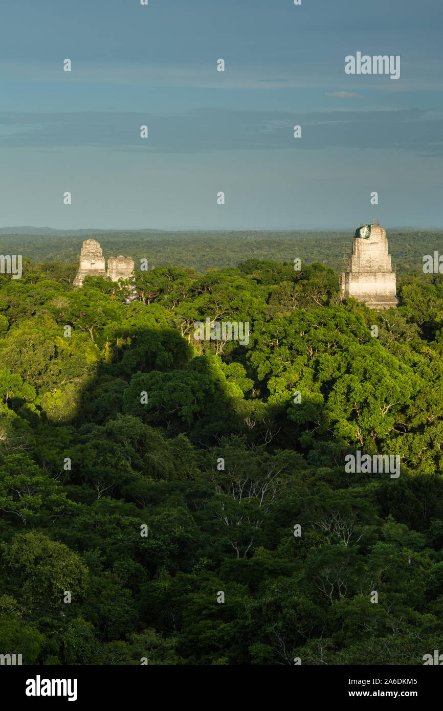 View at sunset of Temples I, II and III from Temple IV in the Mayan ...